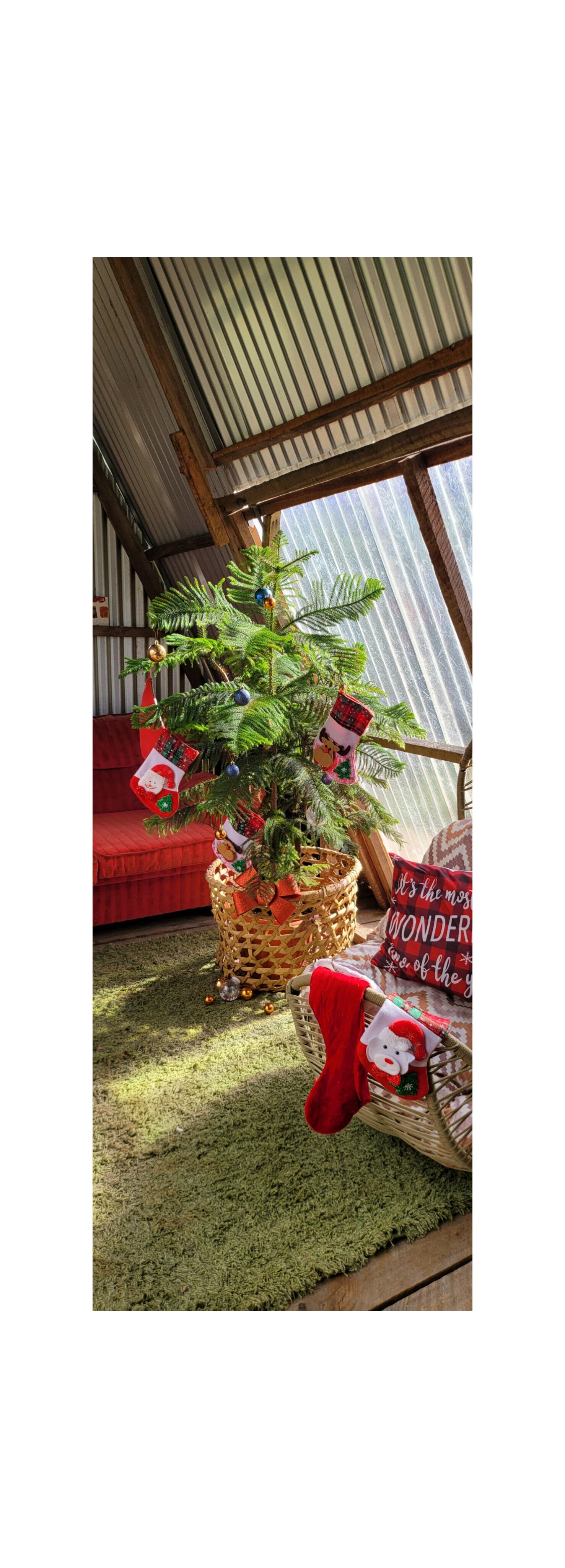 Christmas – Planty Kenya